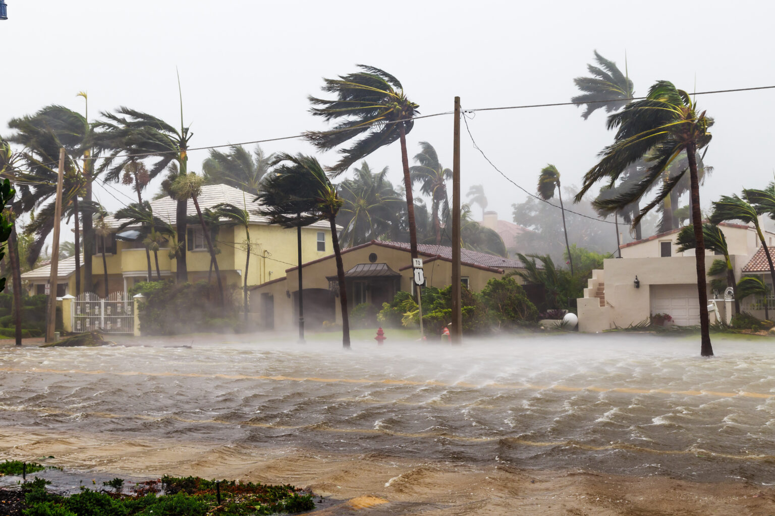 Hurricane Prep Checklist - Feeding Northeast Florida